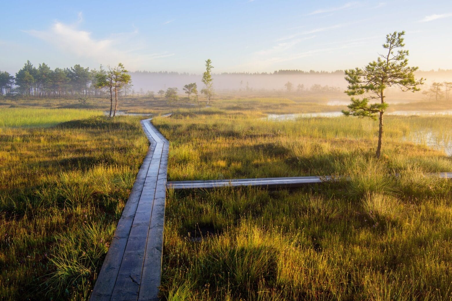 Regenerative travel: What, why, and how? - MonMon Travel